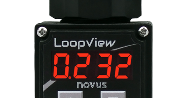 loopview